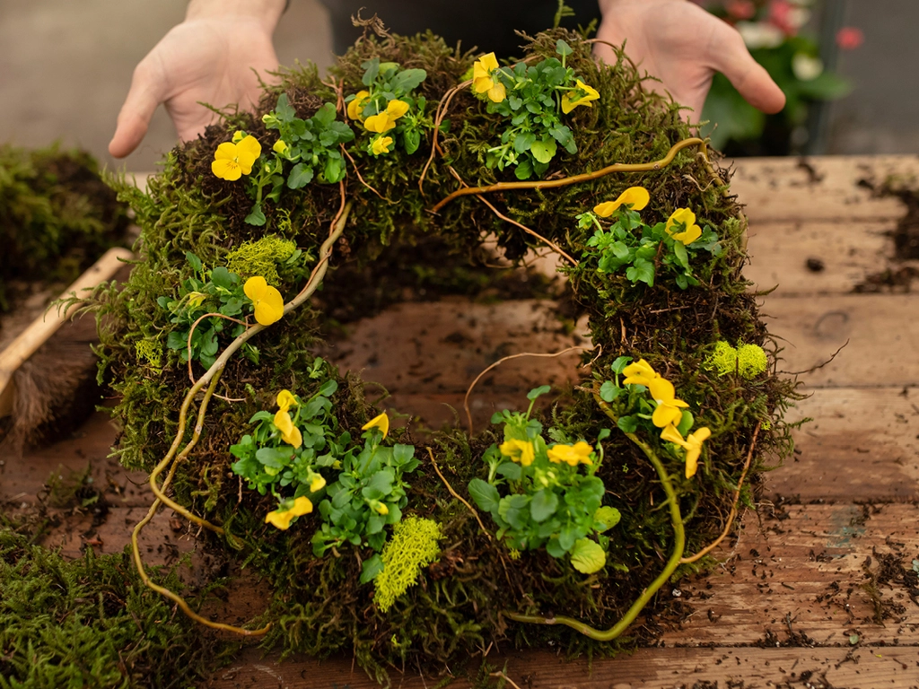 Spring Viola Wreath Workshop - Activities - Gardenworks