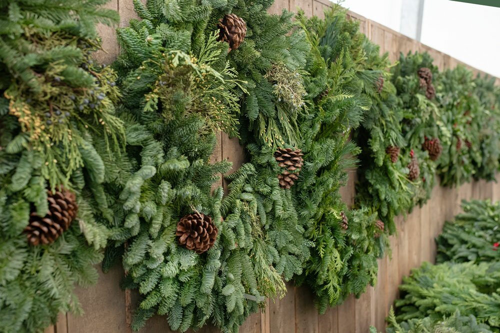 Experience the Magic of Fresh Holiday Greens