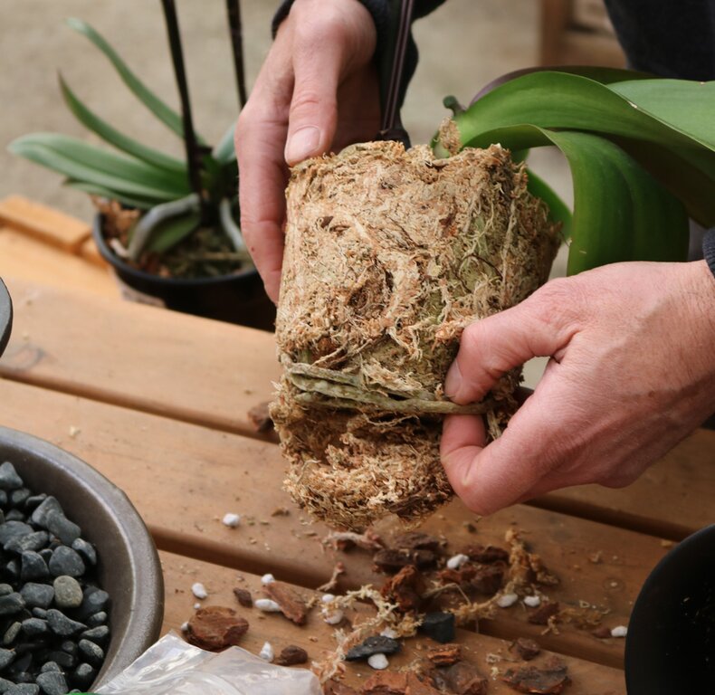 GARDENWORKS | Your Source for Latest Gardening News and Tips - Gardenworks