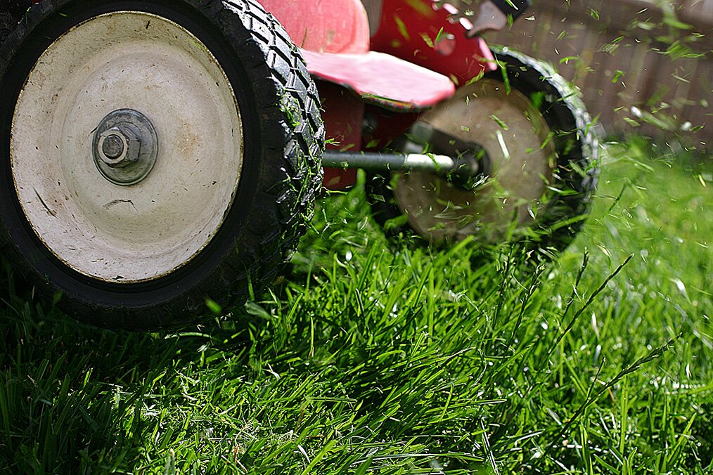 Rethinking Lawns: Embracing Sustainable Alternatives Rethinking Lawns: Embracing Sustainable Alternatives