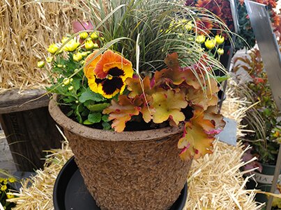 GARDENWORKS | Your Source for Latest Gardening News and Tips - Gardenworks