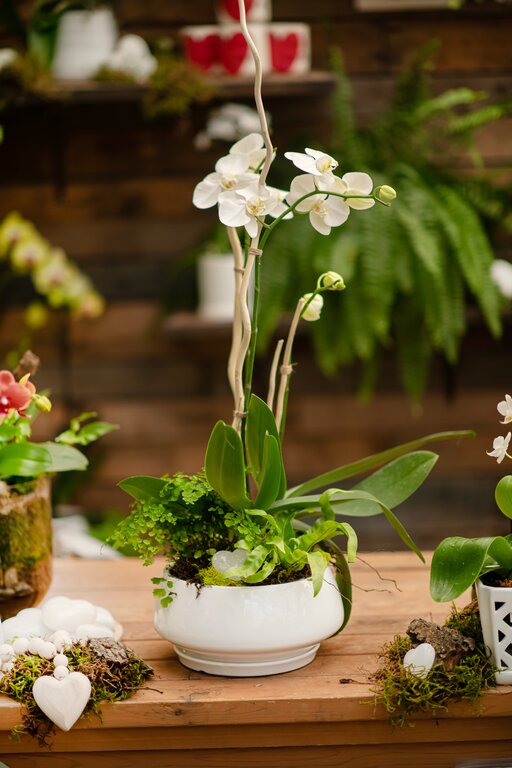 Botanical Designs - Gardenworks