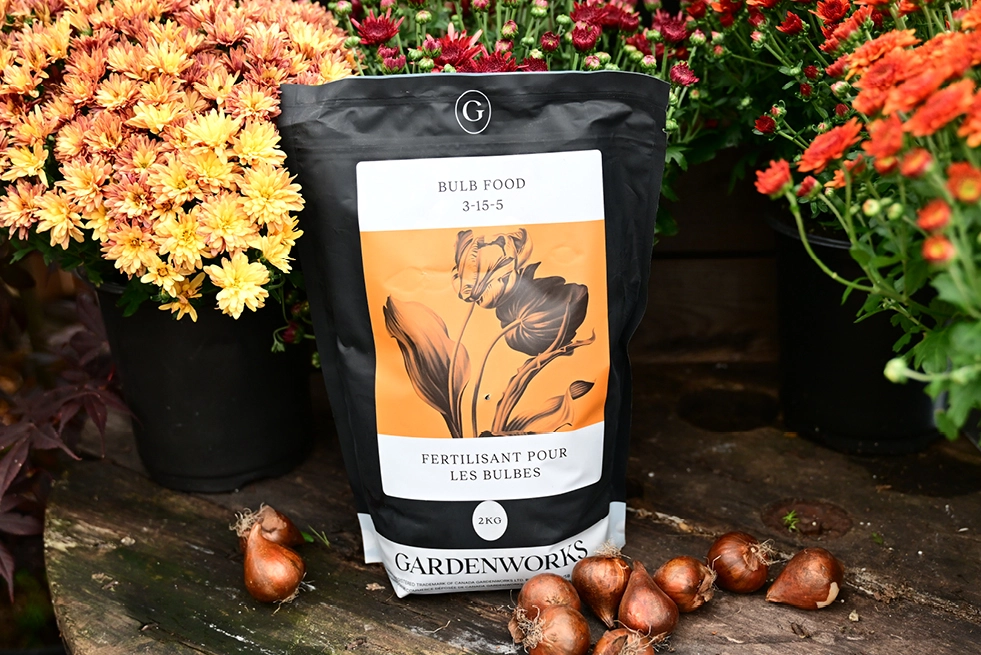 GARDENWORKS Bulb Food 3-15-5 - Gardenworks