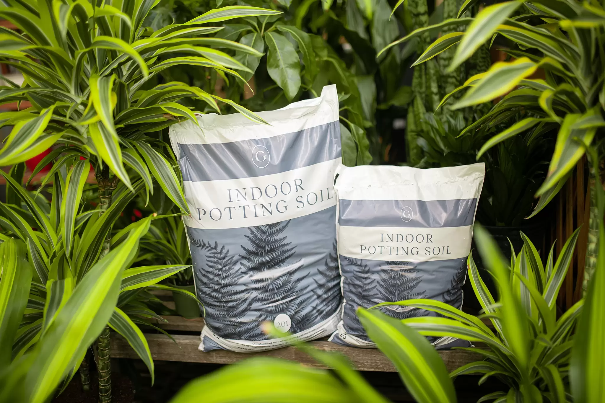 GARDENWORKS Indoor Potting Soil - Gardenworks
